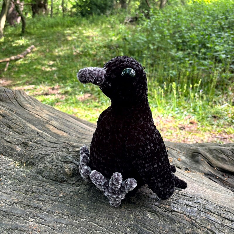 Crow Plush Pattern - Etsy