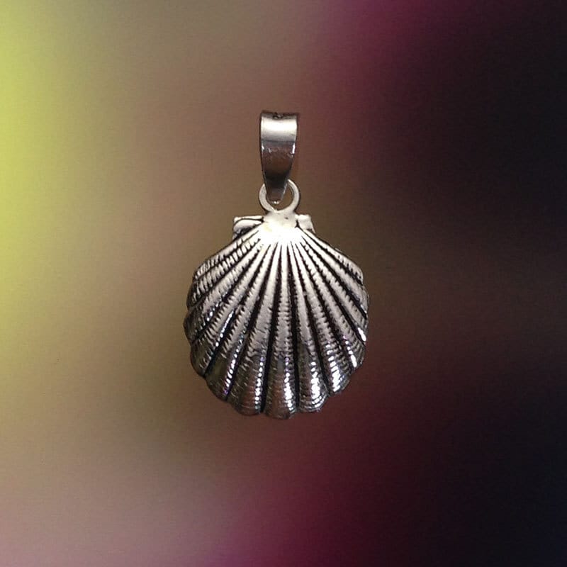 Sea Shell Pendant - Etsy