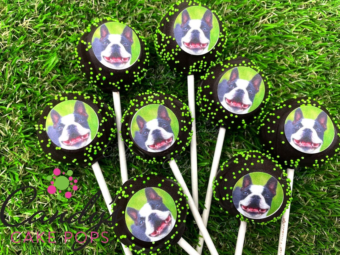 Personalized Pet Portrait Cake Pops (send Us Your Photo!) Cat Dog Puppy ...