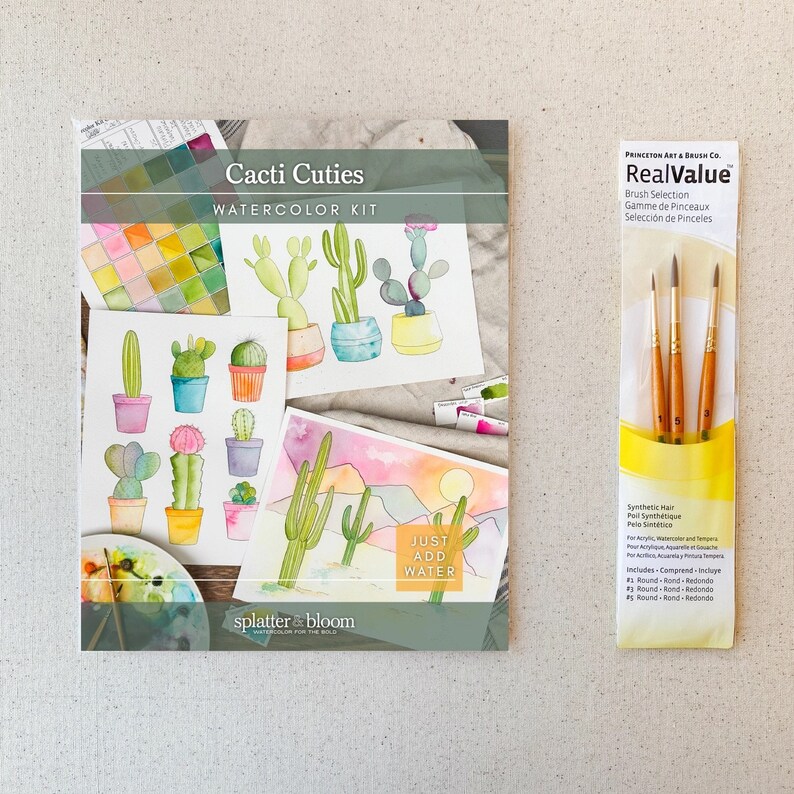 Cactus Watercolor Painting Kit Cacti Watercolor Painting Beginner Level ...