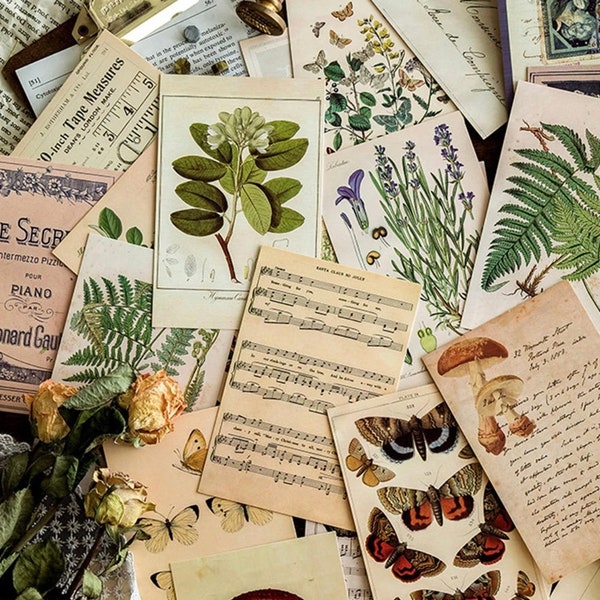 Nature Postcard - Etsy