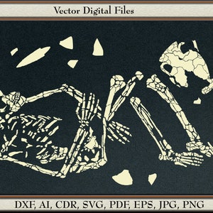Skeleton Vector, Svg, Dxf, Ai, Cdr, Pdf, Eps, Jpg, Png - Etsy