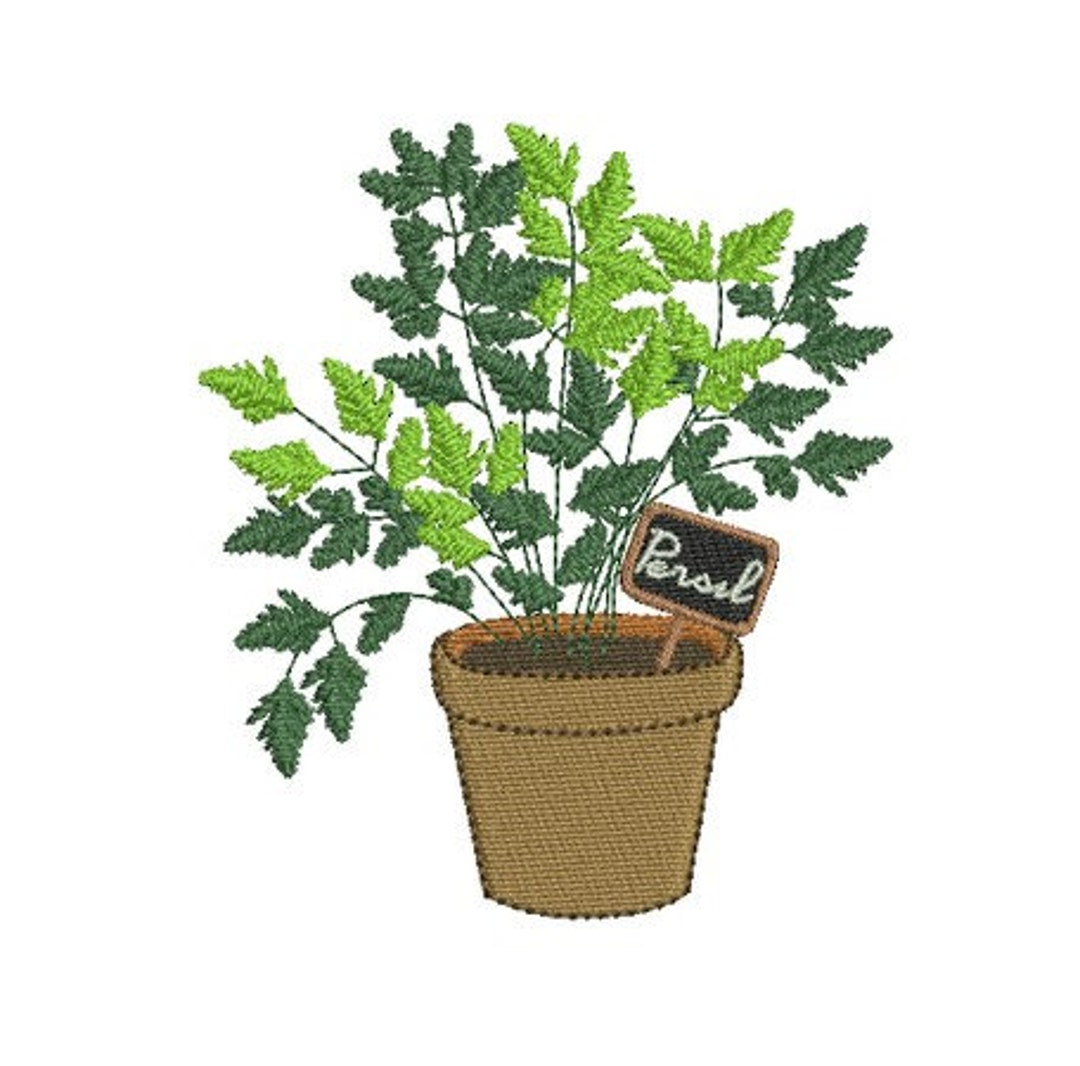 Instant Download Machine Embroidery Parsley - Etsy
