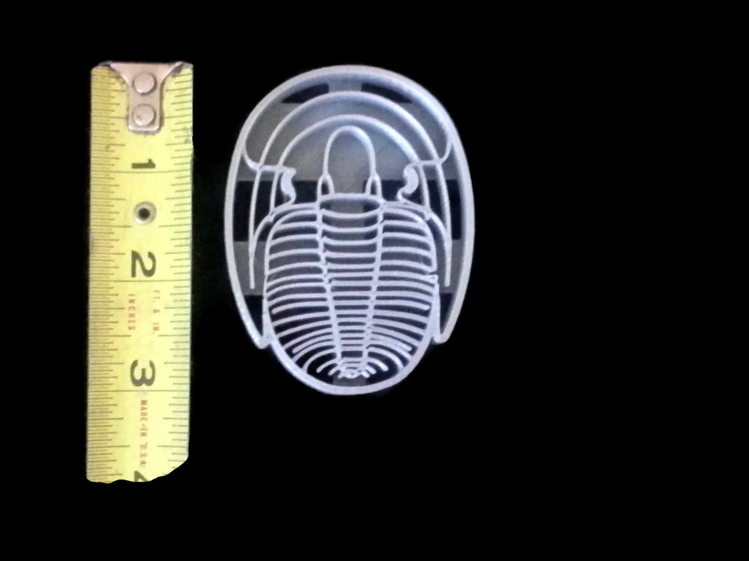 Trilobite Fossil Cookie Cutter Fondant Cutter - Etsy