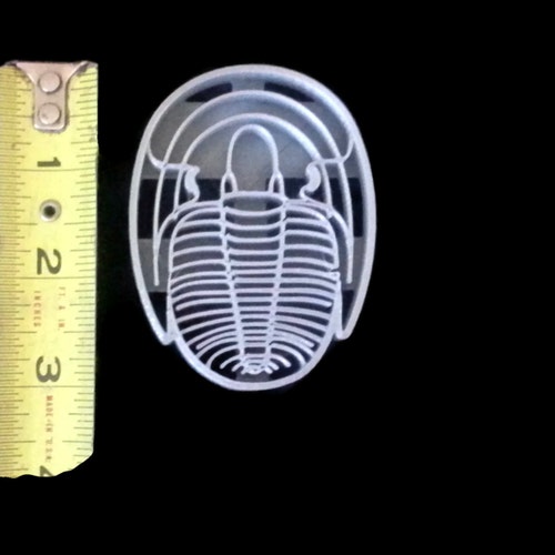 Trilobite Fossil Cookie Cutter Fondant Cutter - Etsy