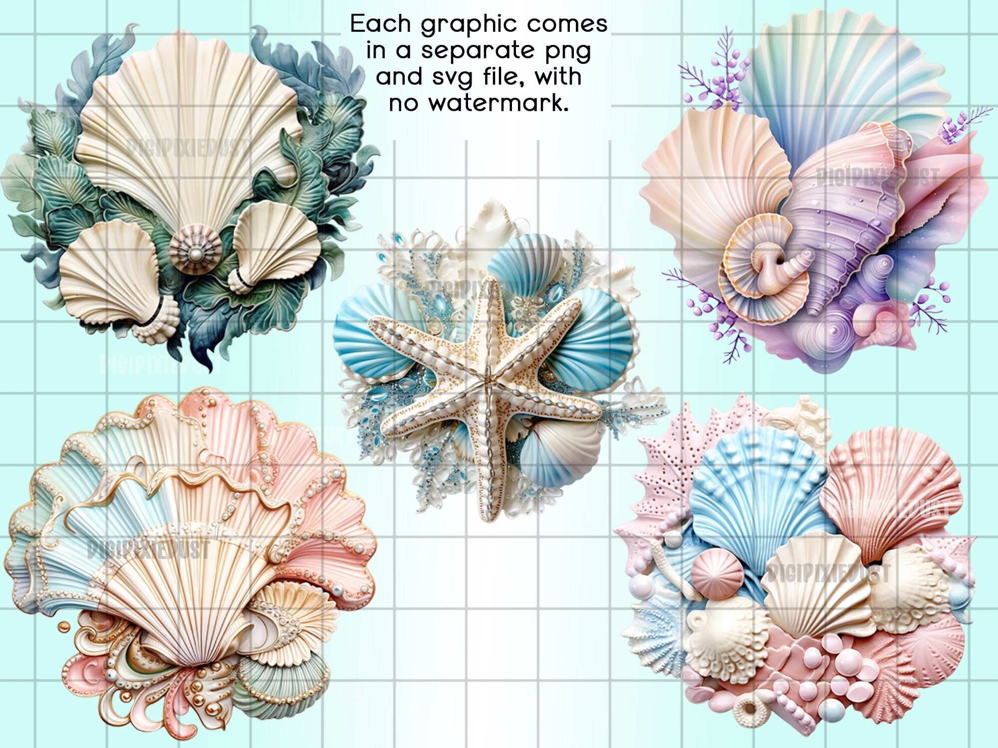 Clipart Set of 25 Seashells for Digital Projects in PNG SVG Format ...