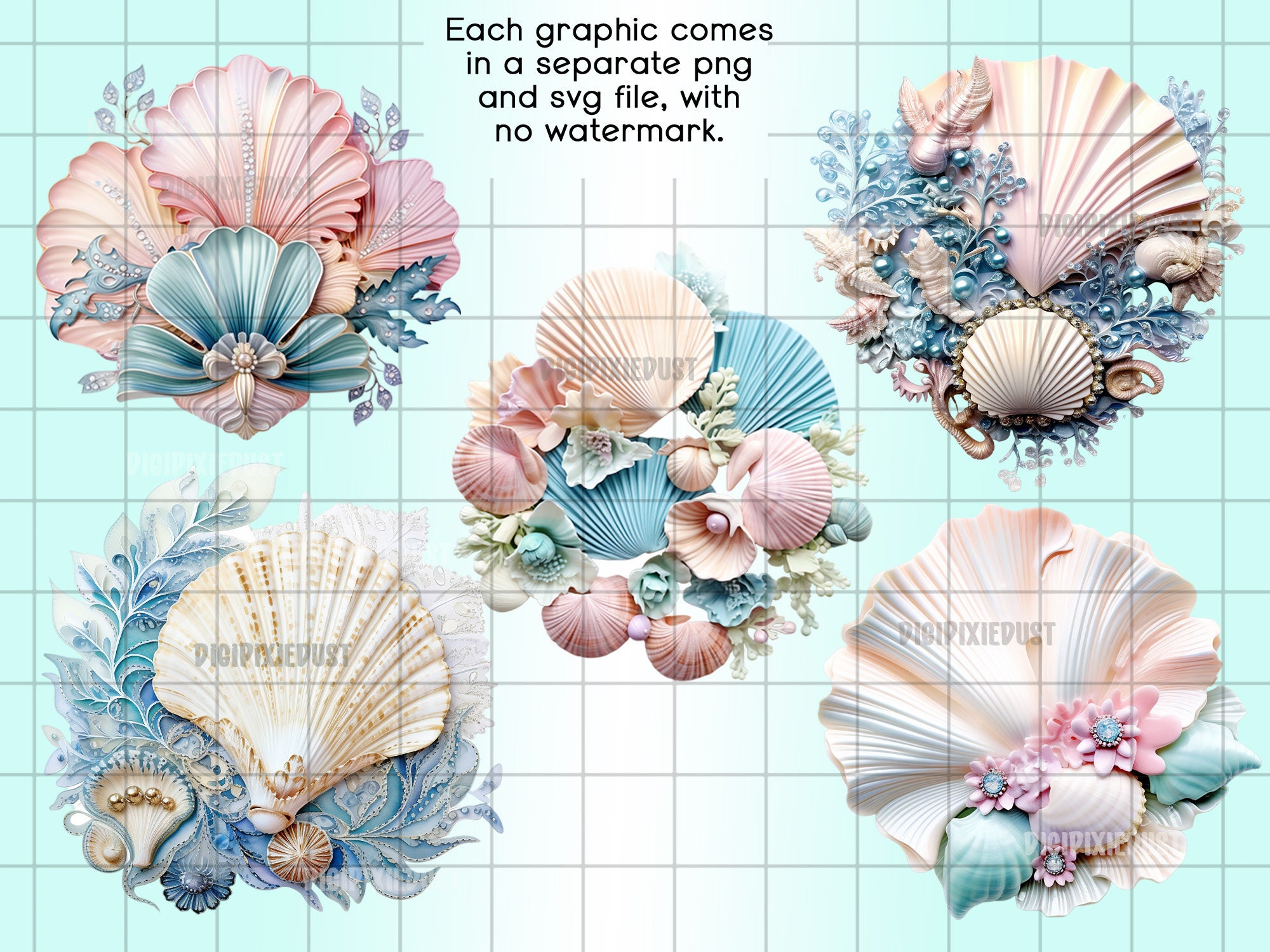 Clipart Set of 25 Seashells for Digital Projects in PNG SVG Format ...