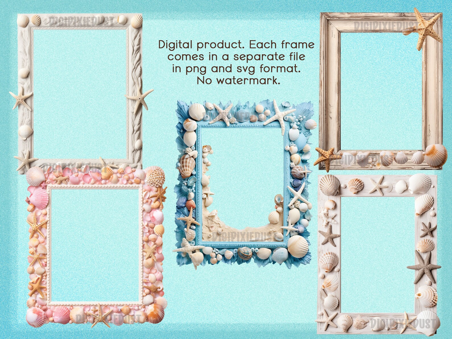 Beach Frames Clipart SVG and PNG, Frames With Shells, Wood Frame Border ...