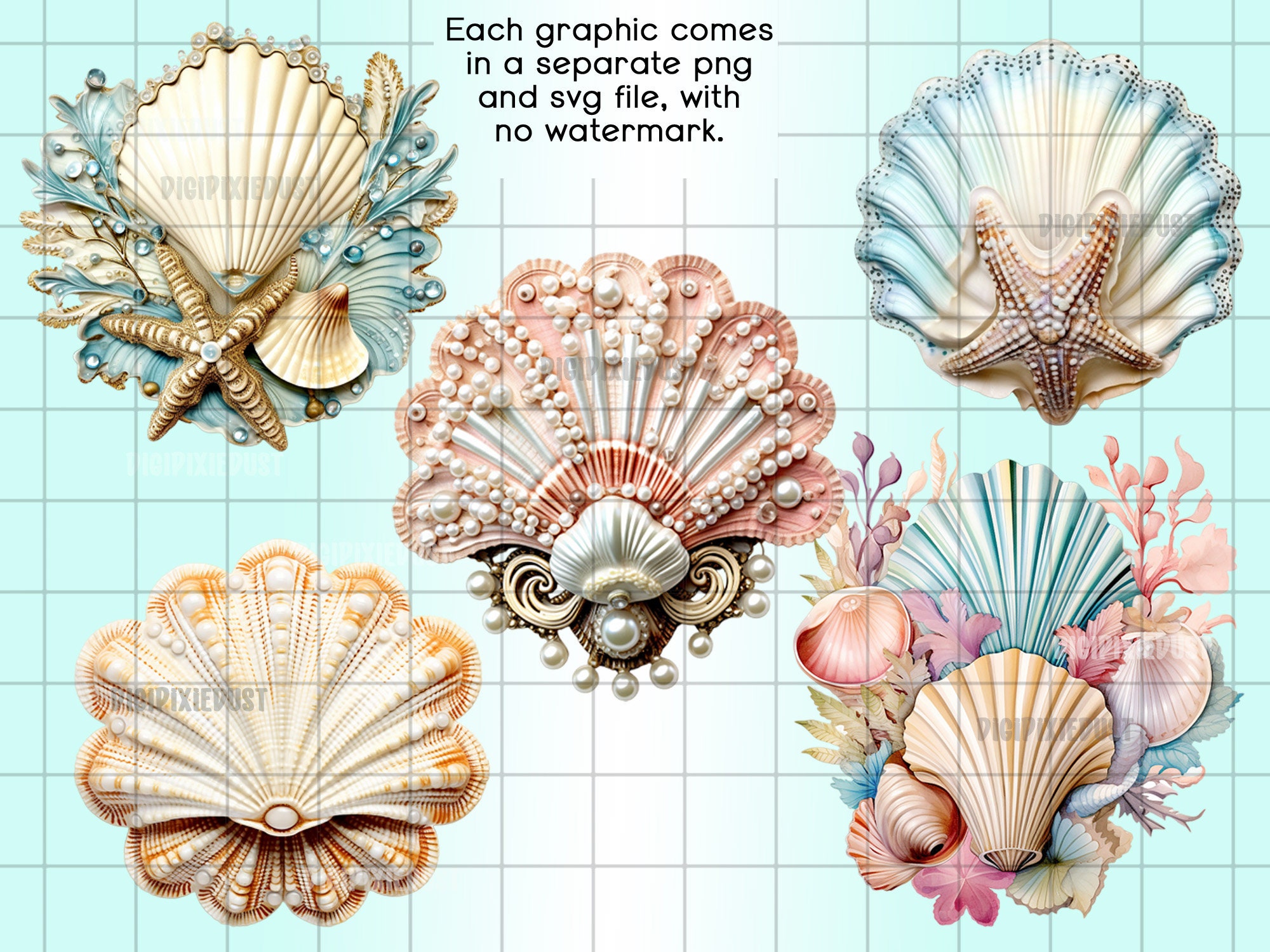 Clipart Set of 25 Seashells for Digital Projects in PNG SVG Format ...