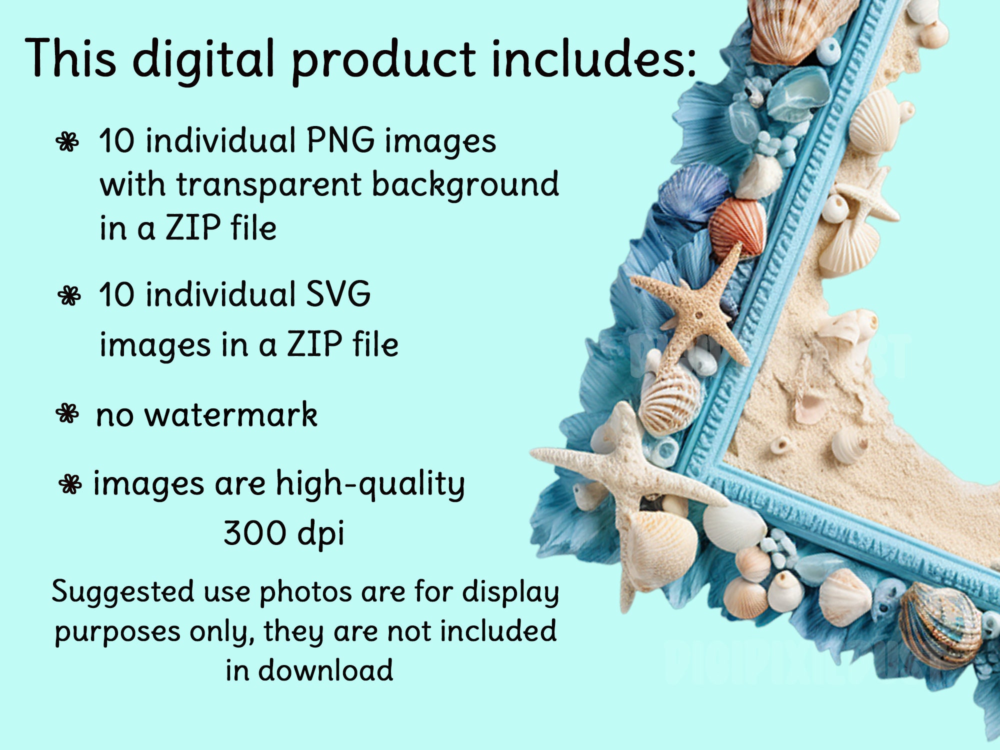 Beach Frames Clipart SVG and PNG, Frames With Shells, Wood Frame Border ...