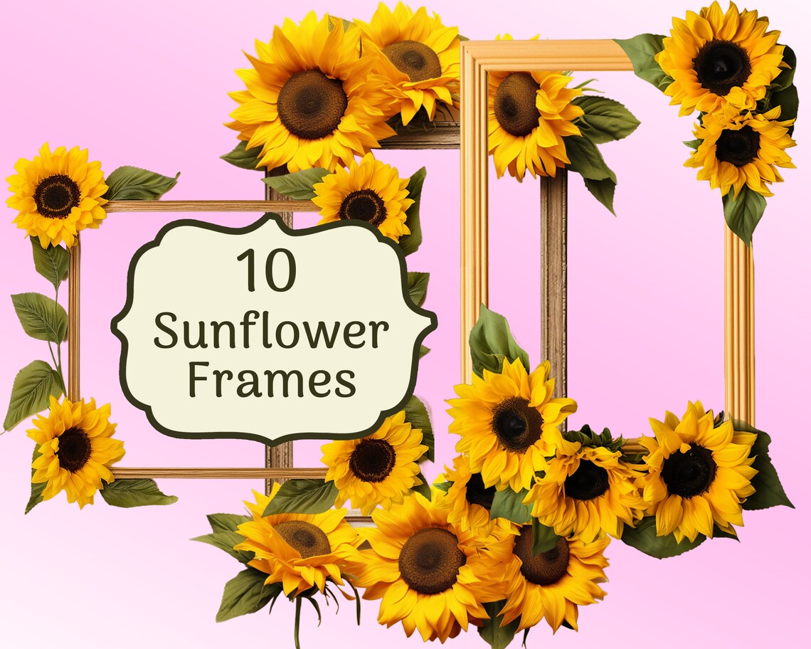 Sunflower Frames Clipart | Scrapbooking Photo Frames (SVG, PNG) - Etsy