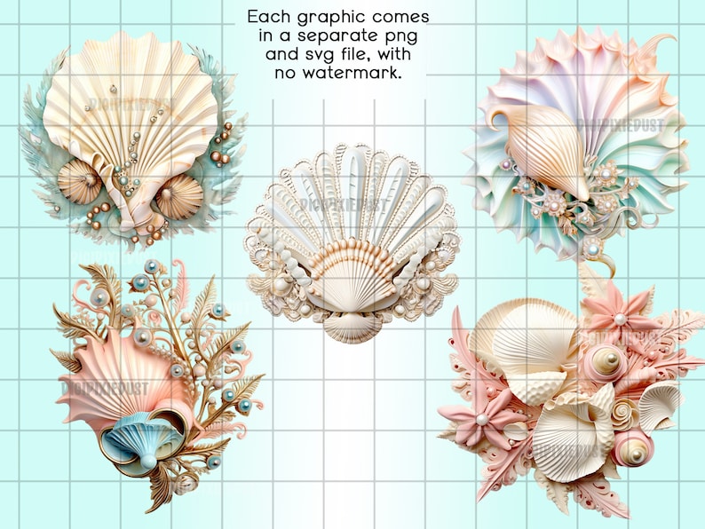 Clipart Set of 25 Seashells for Digital Projects in PNG SVG Format ...