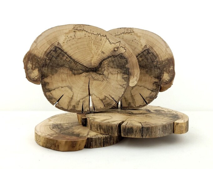 Spalted Beech Wood Slices Beech Tree Slices Natural Wood Coasters ...