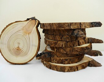 Tree trunk slices | Etsy