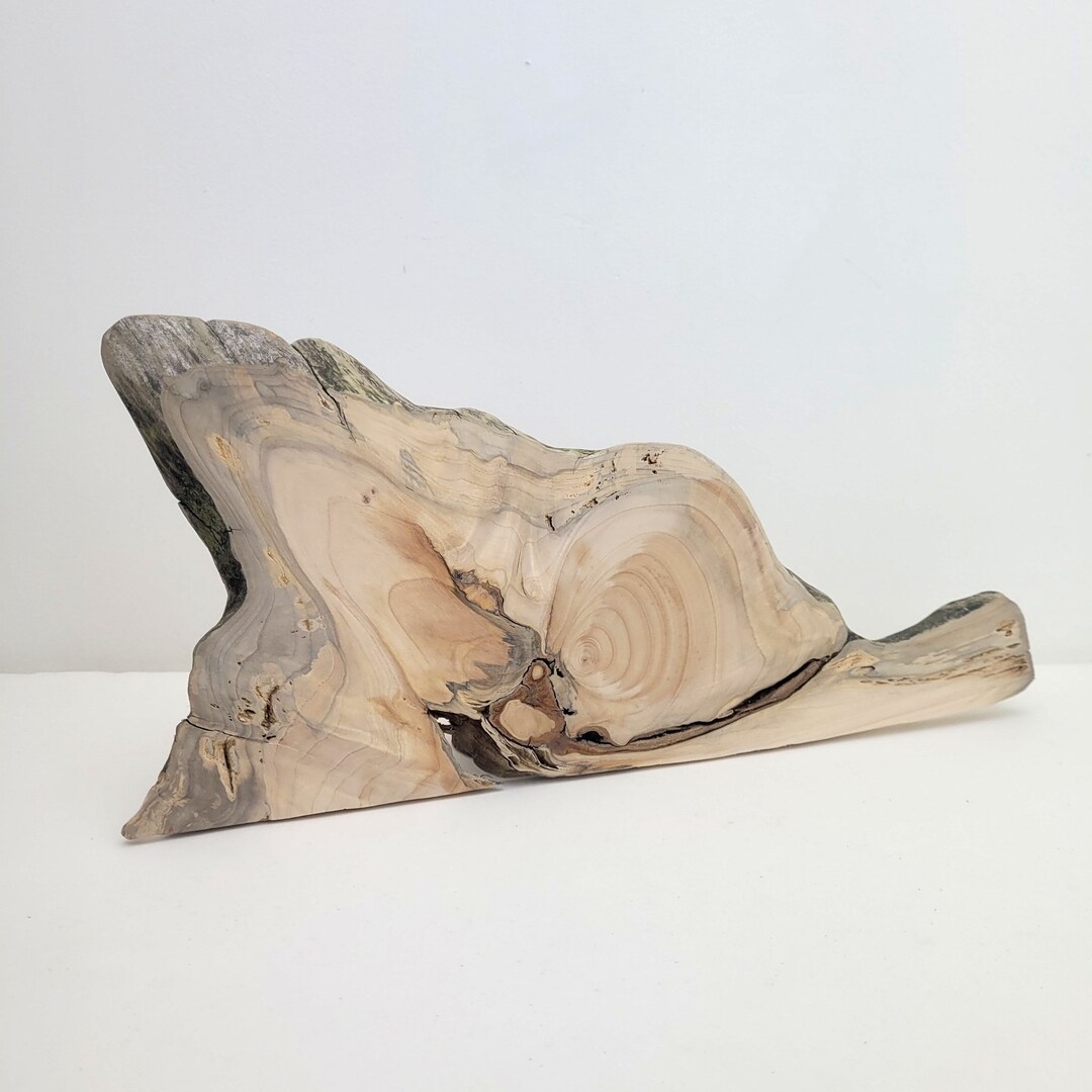 Exclusive Raw Edge Cypress Wood Slab, Irregular Natural Wood Plank ...