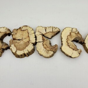 Irregular Shaped Reclaimed Gorse Tree Slices for DIY Crafts - Etsy