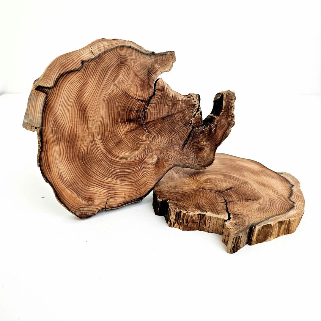 Live Edge Reclaimed Yew Wood Slab, Crafts Woodworking DIY or Decor - Etsy