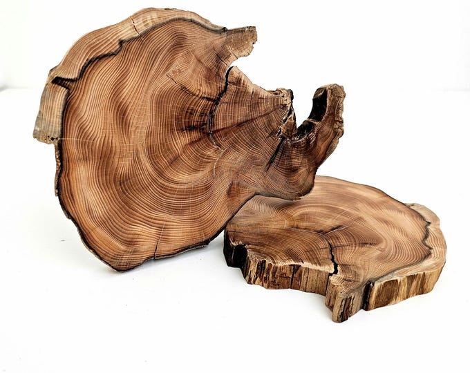 Live Edge Reclaimed Yew Wood Slab, Crafts Woodworking DIY or Decor - Etsy