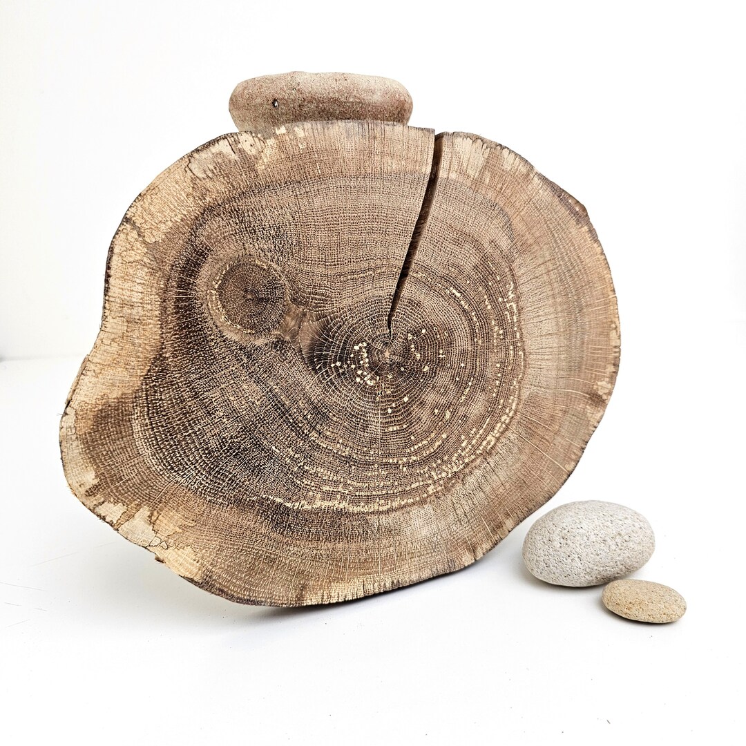 Reclaimed Oak Wood Round Slice Coaster, Crafts - Etsy