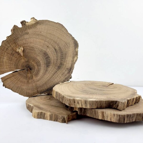 Tree Trunk Slices - Etsy