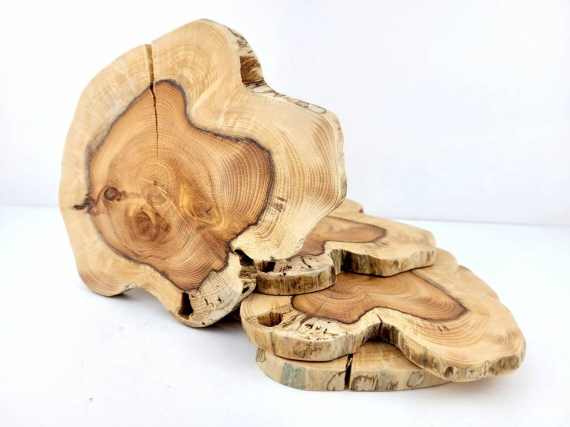 Yew Wood Slabs Yew Tree Slices Diy Crafts Wood Large Yew - Etsy