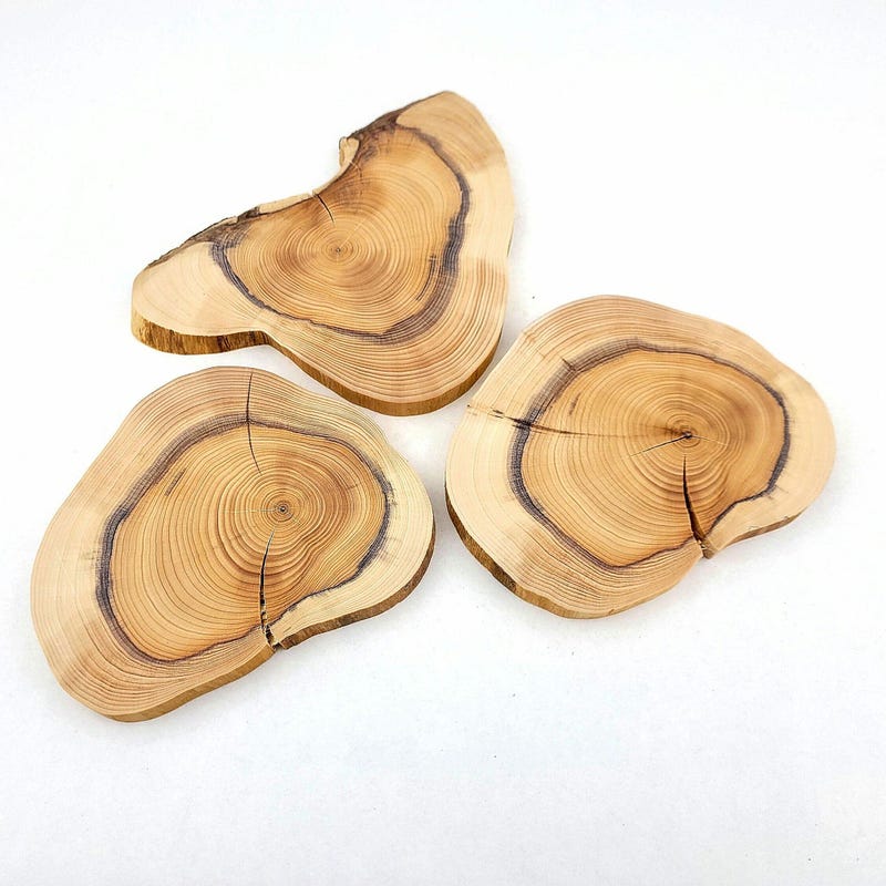 Irregular Wood Slice - Etsy