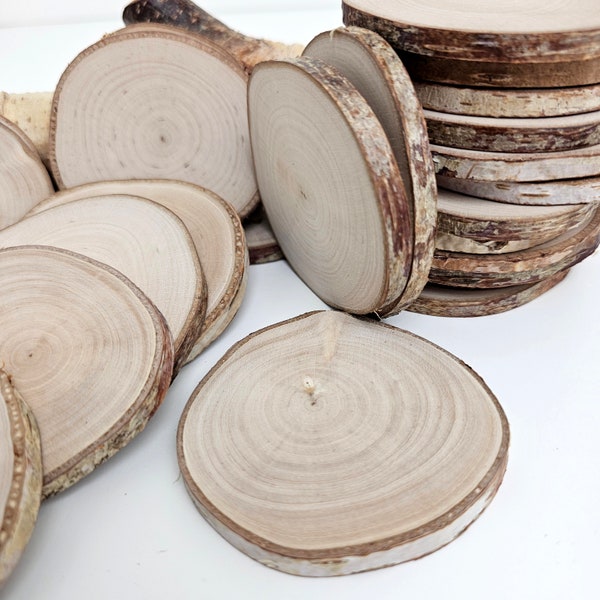 Birch Tree Slice - Etsy