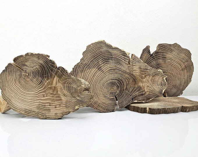 Reclaimed Oak Wood Slices Various Shape, A Set of 4 Wood Blanks for ...