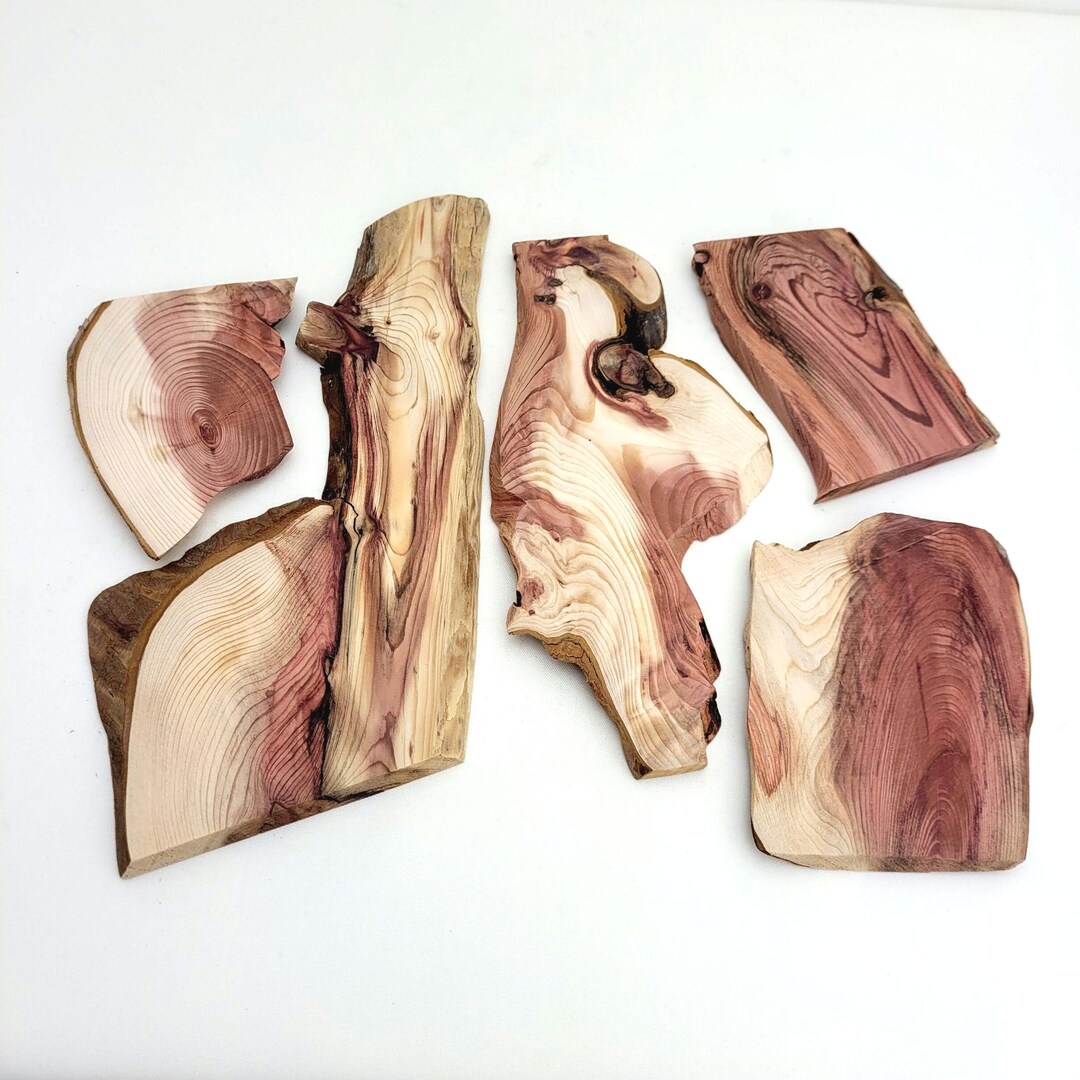 Wood off Cuts Various Shape Redwood Mini Planks 5pcs Making Wood Art ...