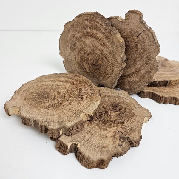 Irregular Wood Slice - Etsy