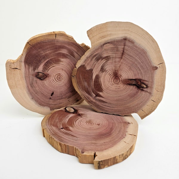 Irregular Wood Slice - Etsy