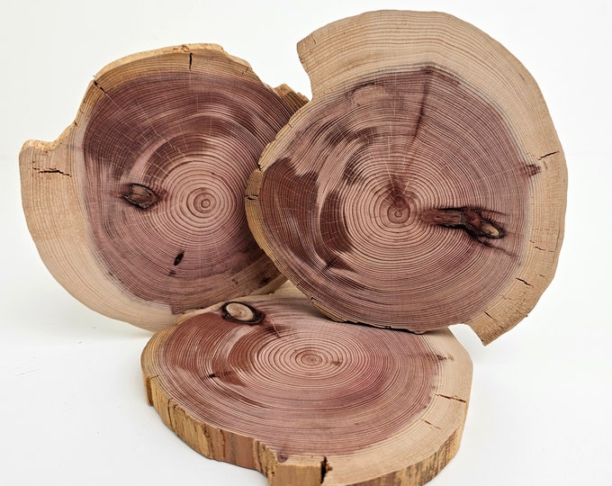 Irregular Odd Shape Reclaimed Cedar Tree Slices Red Cedar Wood 3pcs - Etsy