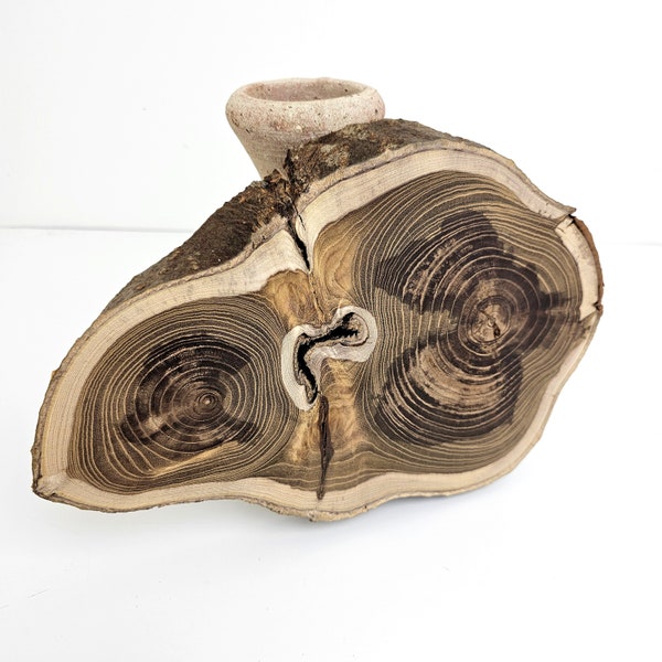 Tree Branch Slices - Etsy