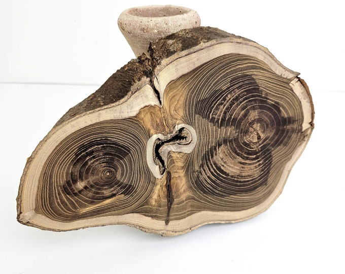 Double Core Dark Wood Tree Slice Natural Wood Round Slab, Irregular ...