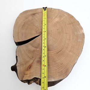 Round Natural Wood Slab, Large Tree Slice, Rustic Centerpiece, Wood ...