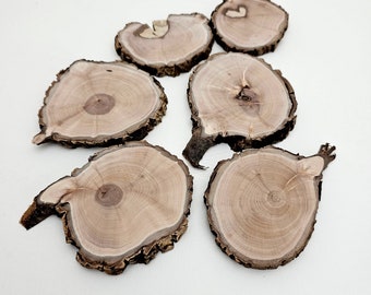 Irregular Shaped Reclaimed Oak Tree Slices for DIY Crafts Woodworking ...
