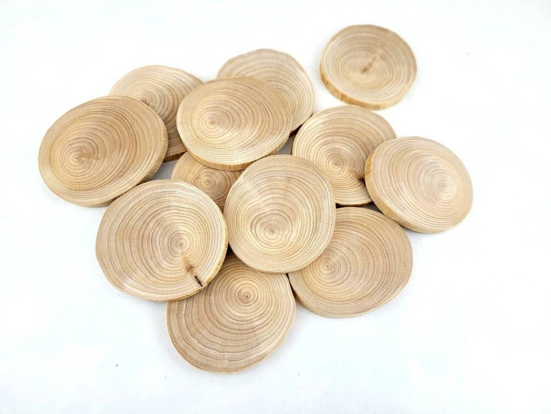 Natural Cypress Tree Cookies, Pack of 12, Natural Raw Wood - Etsy