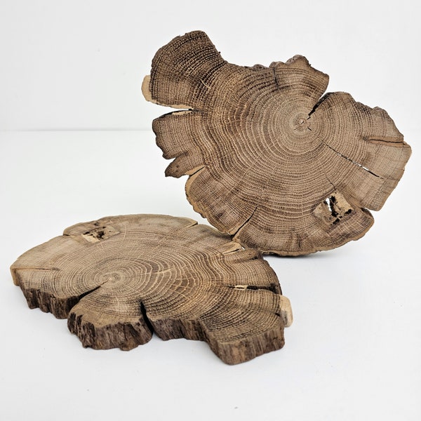 Irregular Wood Slice - Etsy