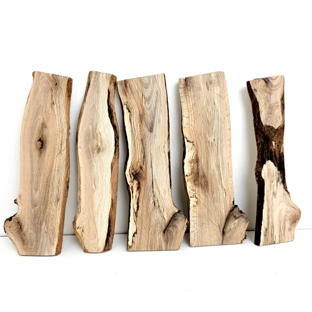Set of Mini Planks Tree Branch Wood Diy Wood Art, Resin Woodworking ...