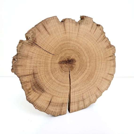 Oak Wood Round Slabs