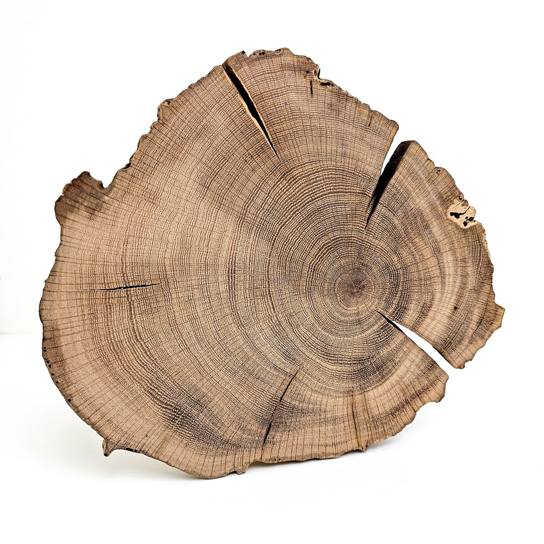 Live Edge Reclaimed Solid Oak Wood Slab 10inch | Irregular Shaped Large ...