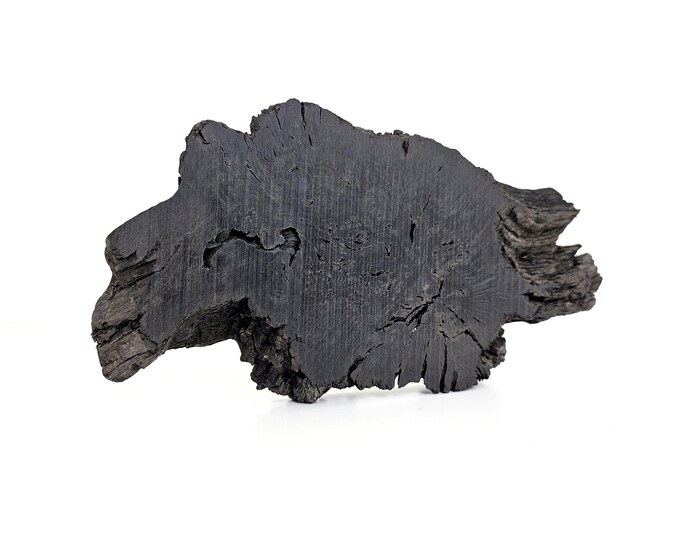 Rare Bog Oak Wood Slice Unique Ancient Irish Wood, 23cm/9inch - Etsy