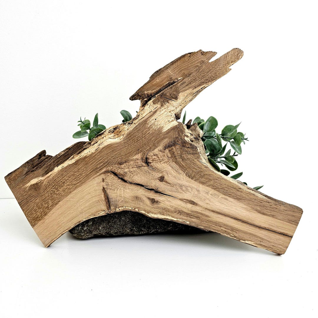 Raw Edge Figured Oak Wood Slab, Flat and Sanded Smooth - Etsy