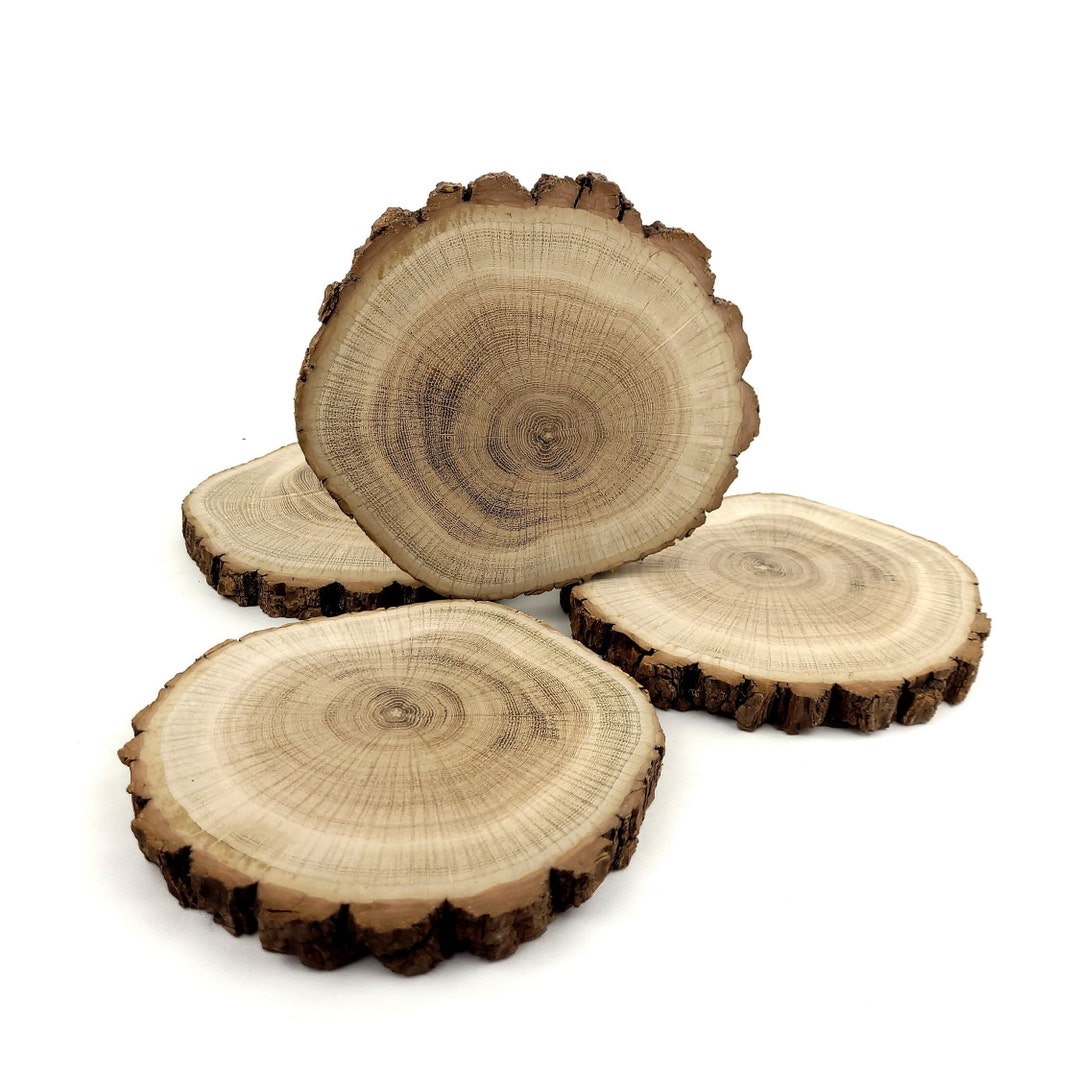 Rustic Oak Wood Round Coasters Outdoor Table Decor Unfinished Crafts ...