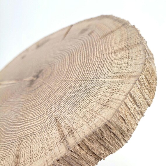 Oak Wood Round Slabs