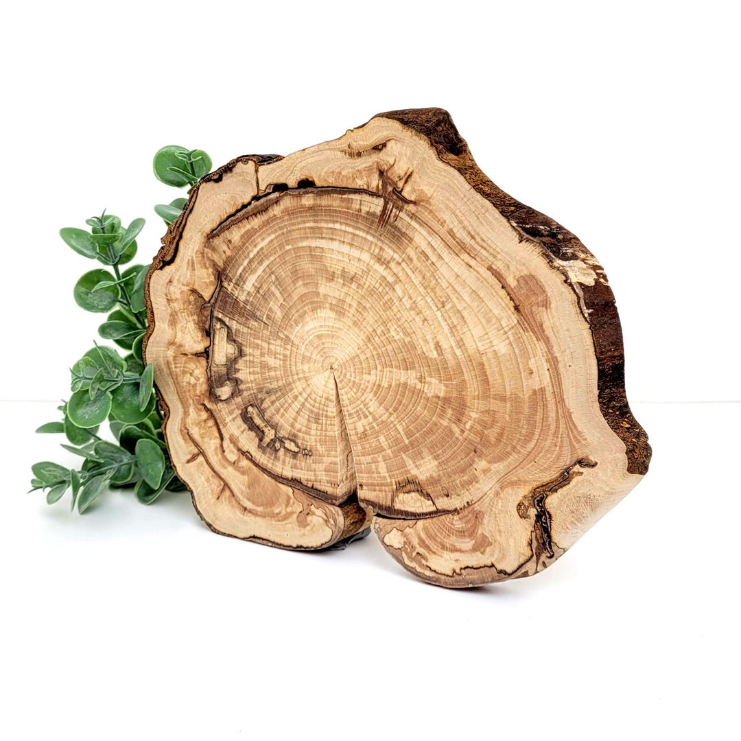 Wood Round Slab Natural Beech Wood, Live Edge Coaster Centerpiece ...