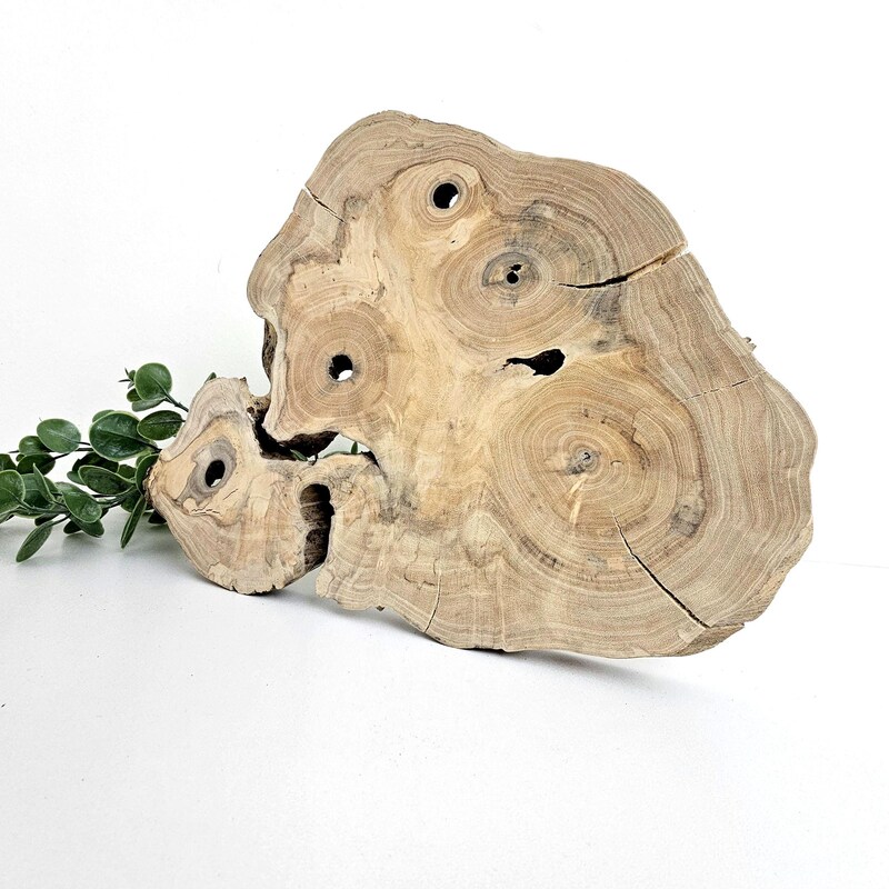 Elder Wood - Etsy