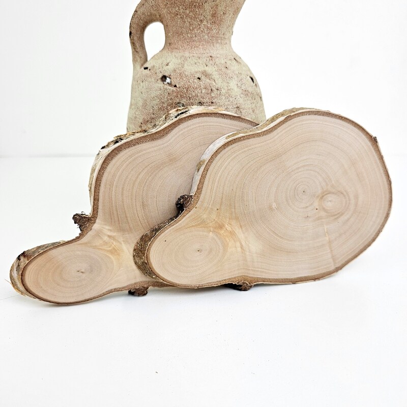 Irregular Wood Slice - Etsy