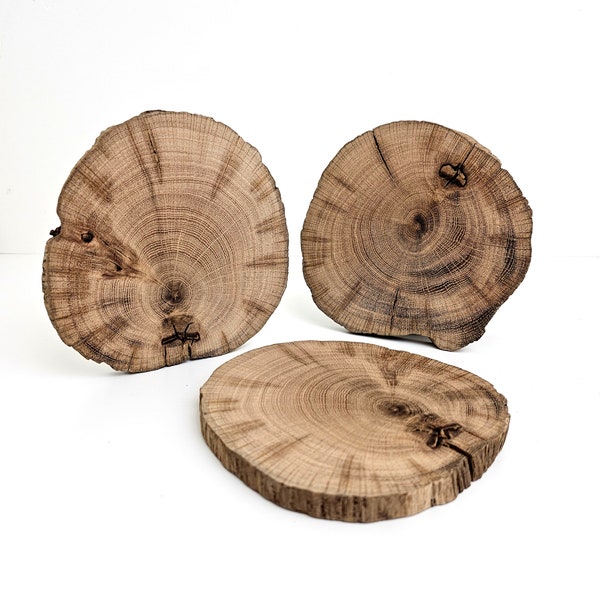 Oak Wood Slice - Etsy