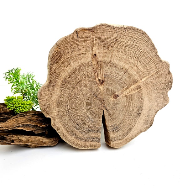 Irregular Wood Slice - Etsy